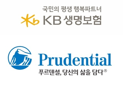 “40대 상무가 7명”…KB라이프생명, 내년 출범 앞두고 조직개편